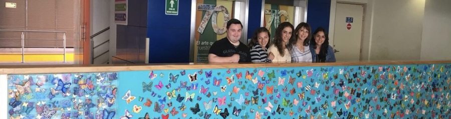 Installations - The Butterfly Project