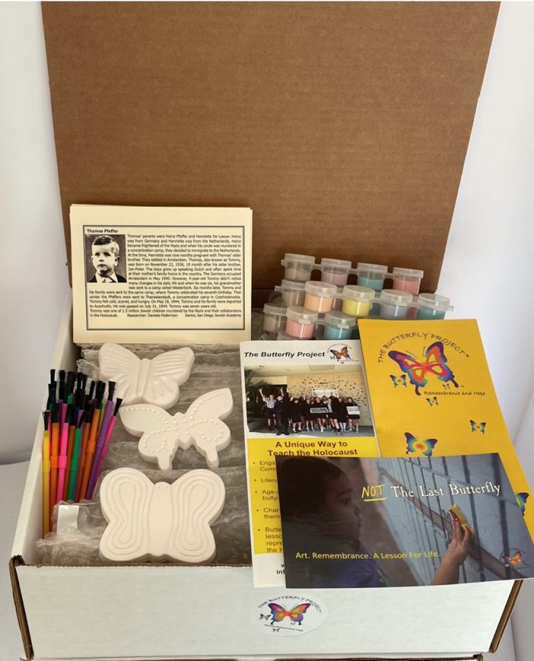 School Programming - The Butterfly Project