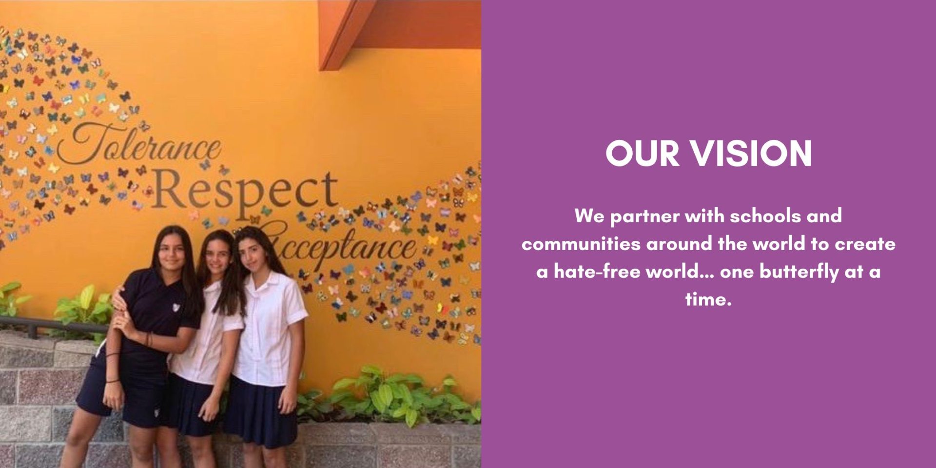 Our Mission and Vision - The Butterfly Project