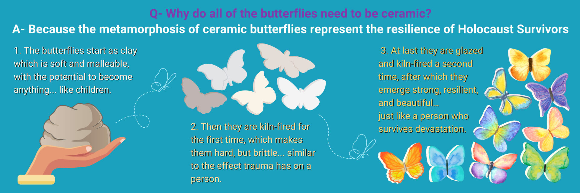 Program FAQs - The Butterfly Project