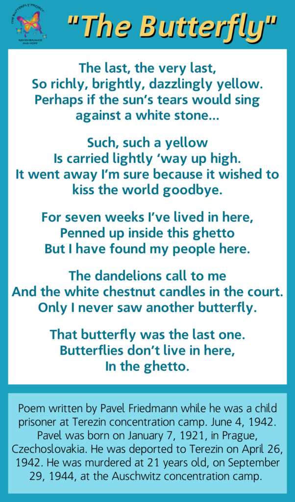 Our History - The Butterfly Project
