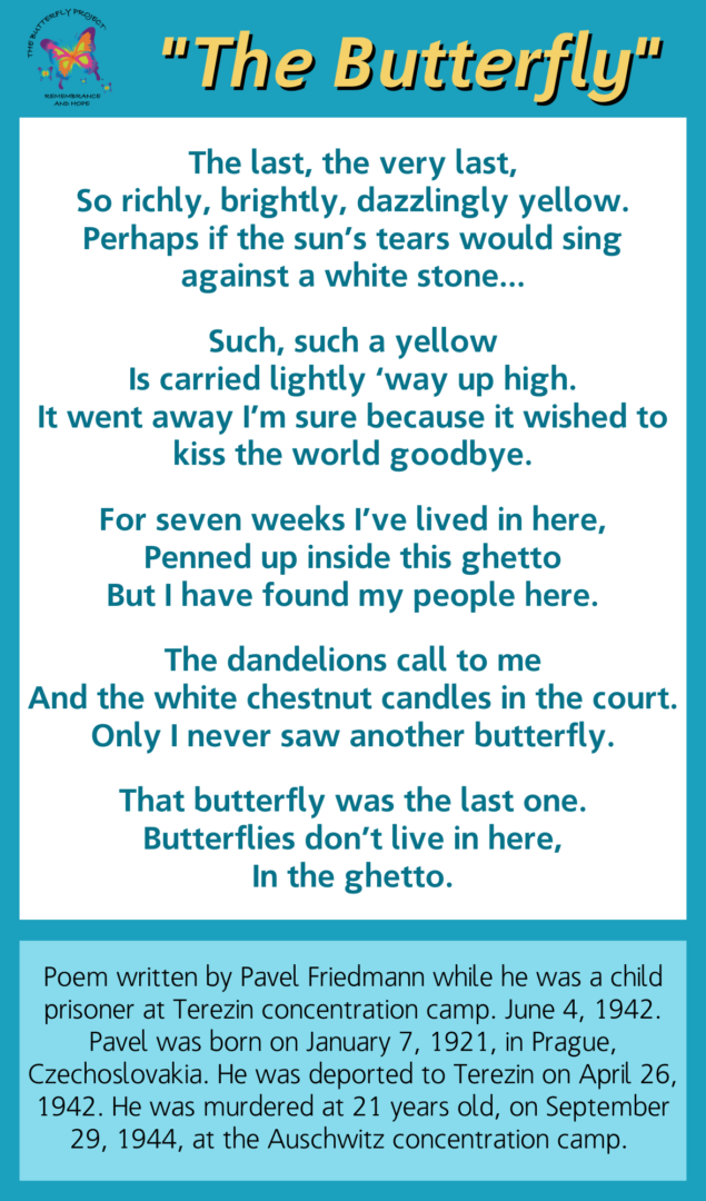 Our History - The Butterfly Project